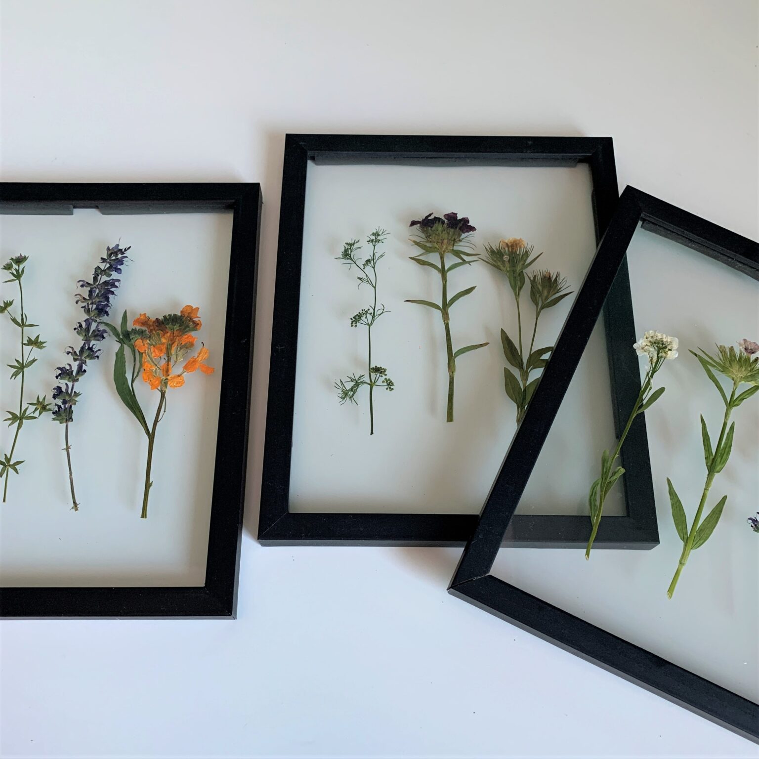 DIY Framed Dried Flowers - Ivy&Iron